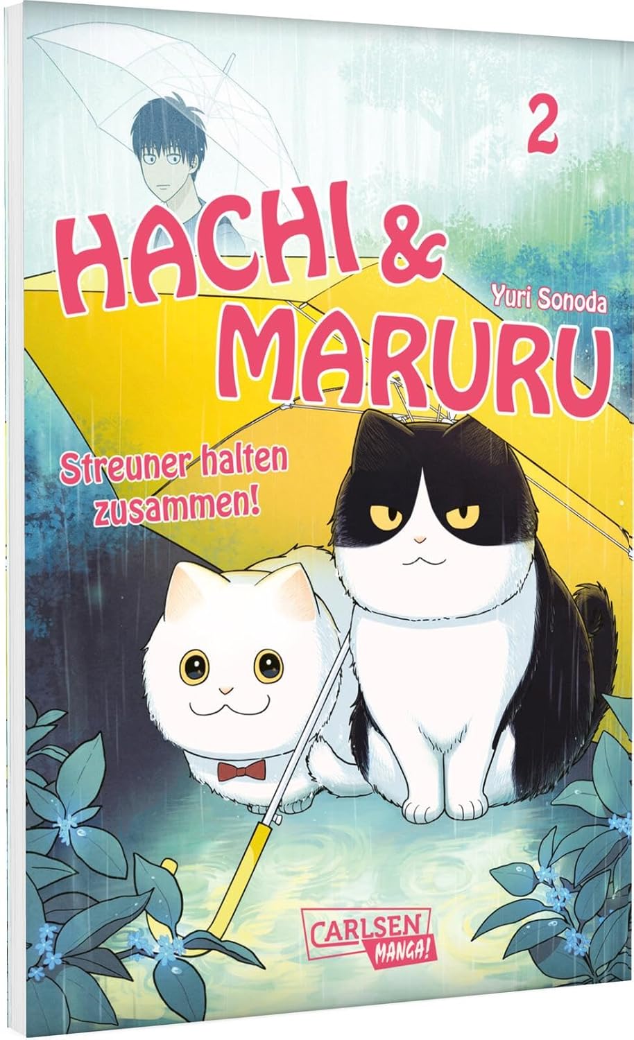 Hachi & Maruru - Streuner halten zusammen! 02 | Carlsen | Verlage ...